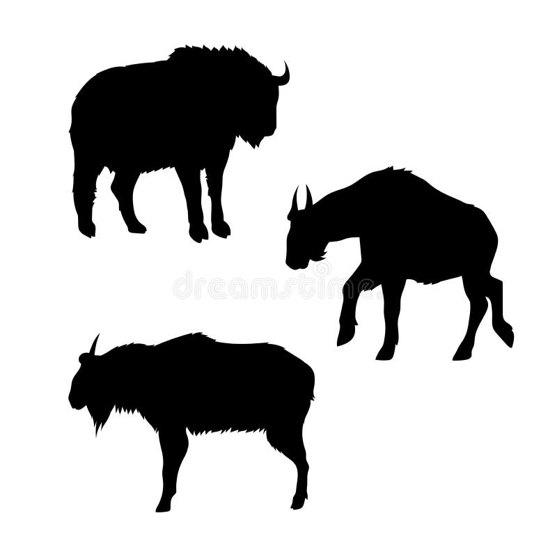 Takin vector silhouettes stock vector. Illustration of horns - 57232566