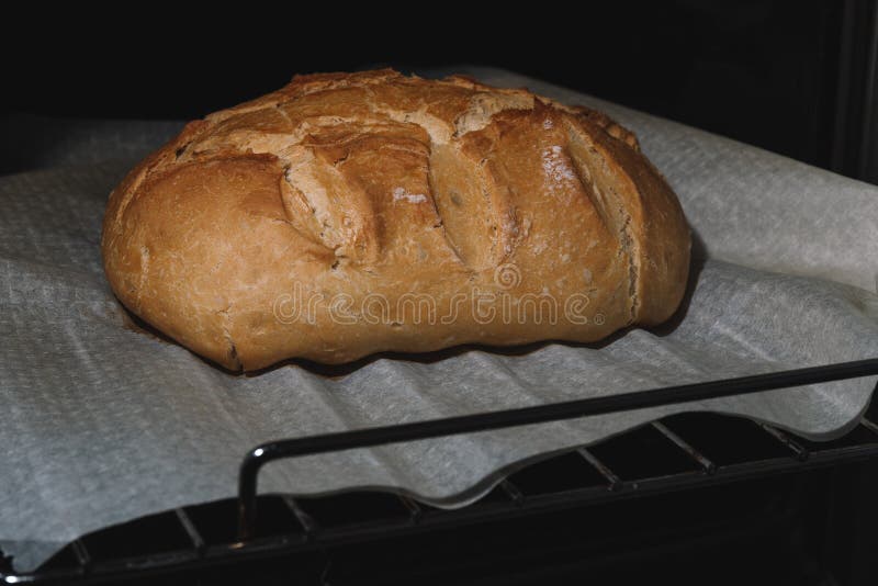 Taking bread stock image. Image of fresh, glas, taking - 6935039