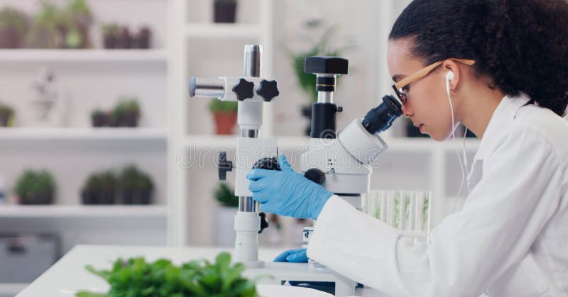 Taking a Closer Look at a New Organism. a Young Scientist Using a ... Taking a Closer Look at a New Organism. a Young Scientist Using a ...