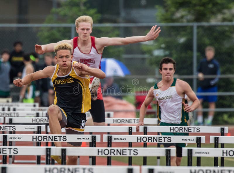 Taking Flight editorial image. Image of action, meet - 73520405