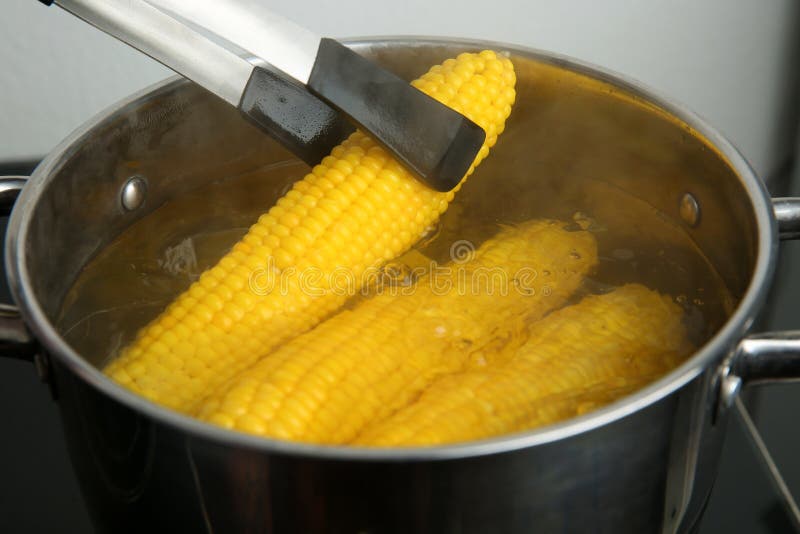 Taking Fresh Corn Cob from Pot with Hot Water Stock Photo - Image of ...