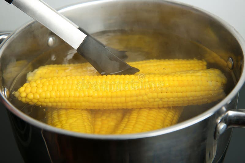 Taking Fresh Corn Cob from Pot with Hot Water Stock Photo - Image of ...