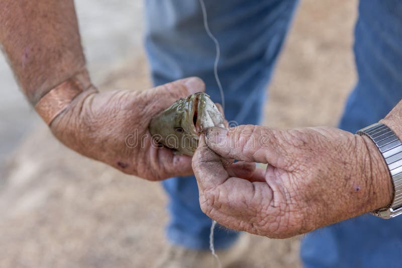 Kid Boy Taking Out a Hook from the Fish Stock Image - Image of autumn ...