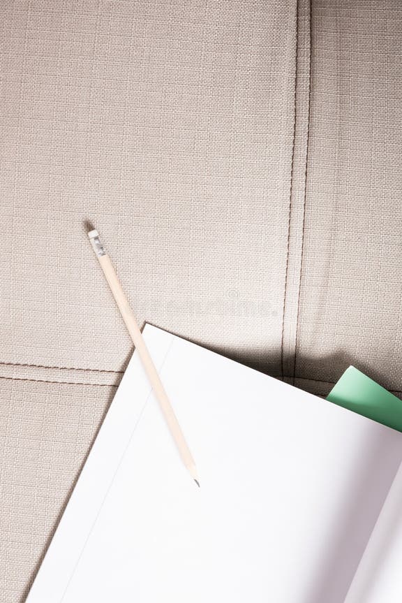 Taking notes on the Sofa stock photo. Image of elementary - 55767952