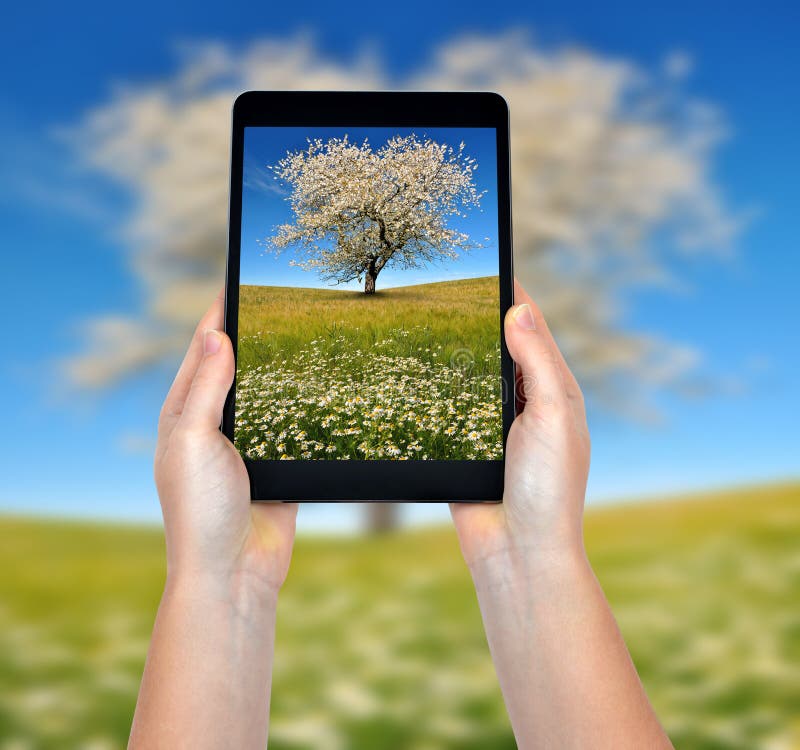 Taking Photos with a Tablet Stock Image - Image of nature, camera: 49695335