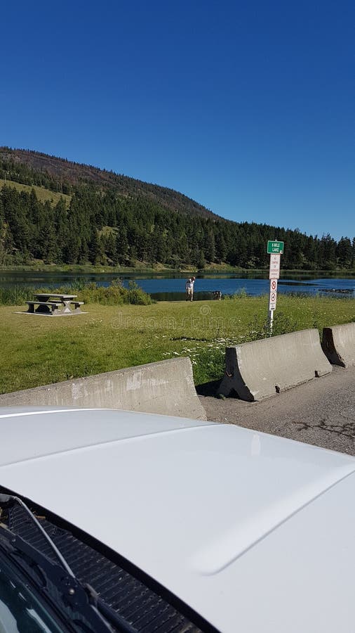 Roadside Lake stock photo. Image of british, calm, lake - 42891962