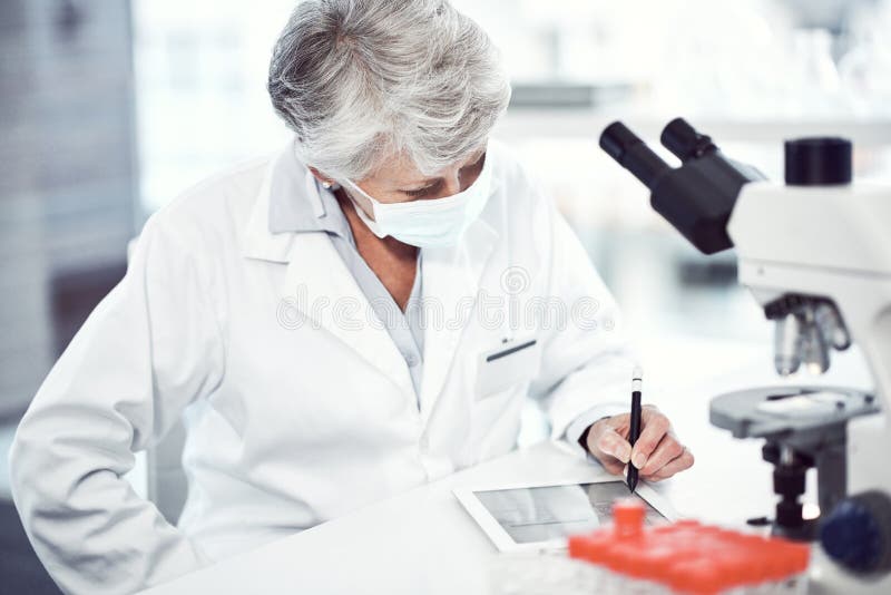 Taking Safety Precautions while Working. a Focused Elderly Female ...