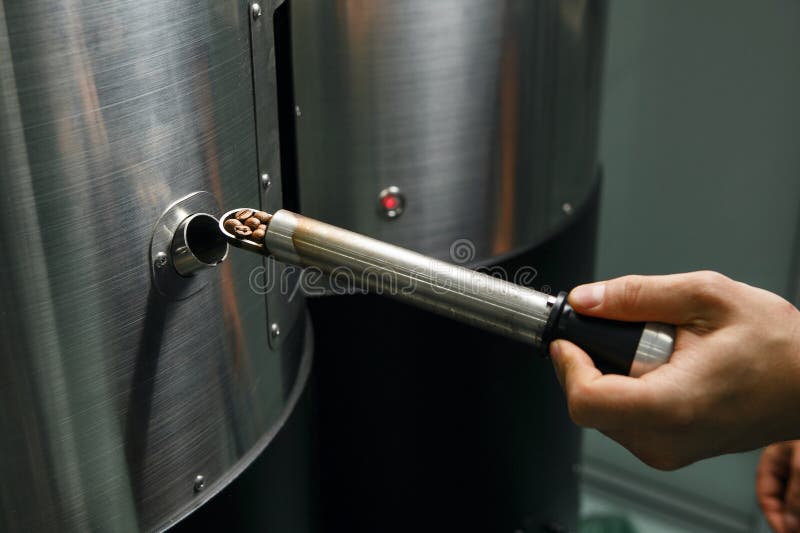 Taking Sample of Coffee Beans from Roaster during Roasting Process ...