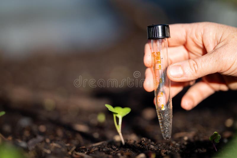 Taking a Soil Sample for a Soil Test in a Field. Testing Carbon ...