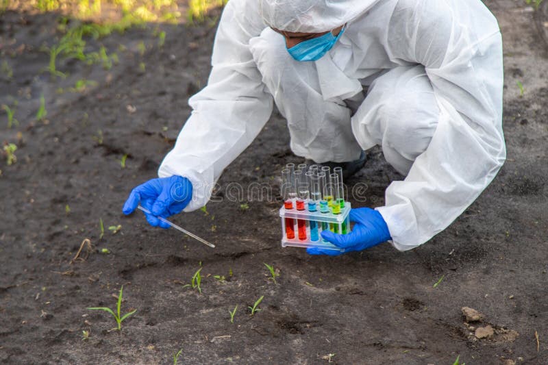 Taking Soil Samples from the Field. Selective Focus Stock Image - Image ...