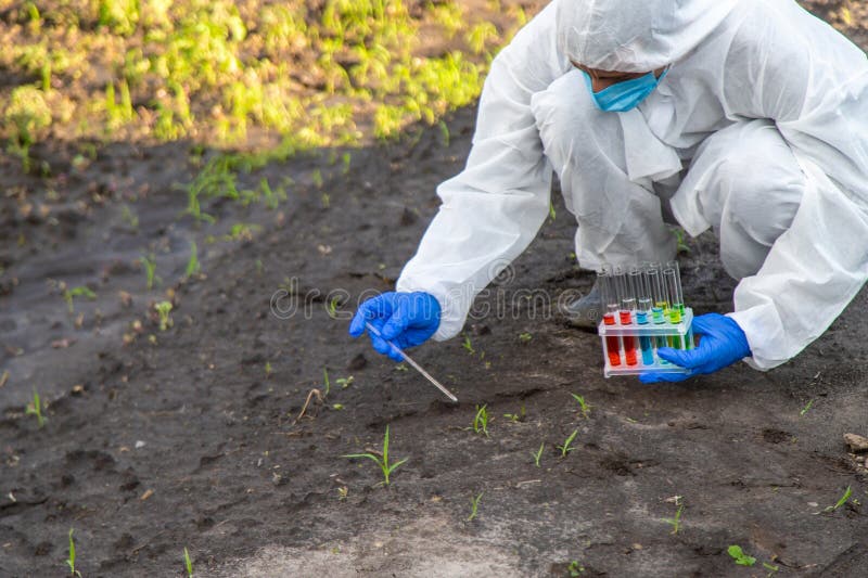 Taking Soil Samples from the Field. Selective Focus Stock Image - Image ...