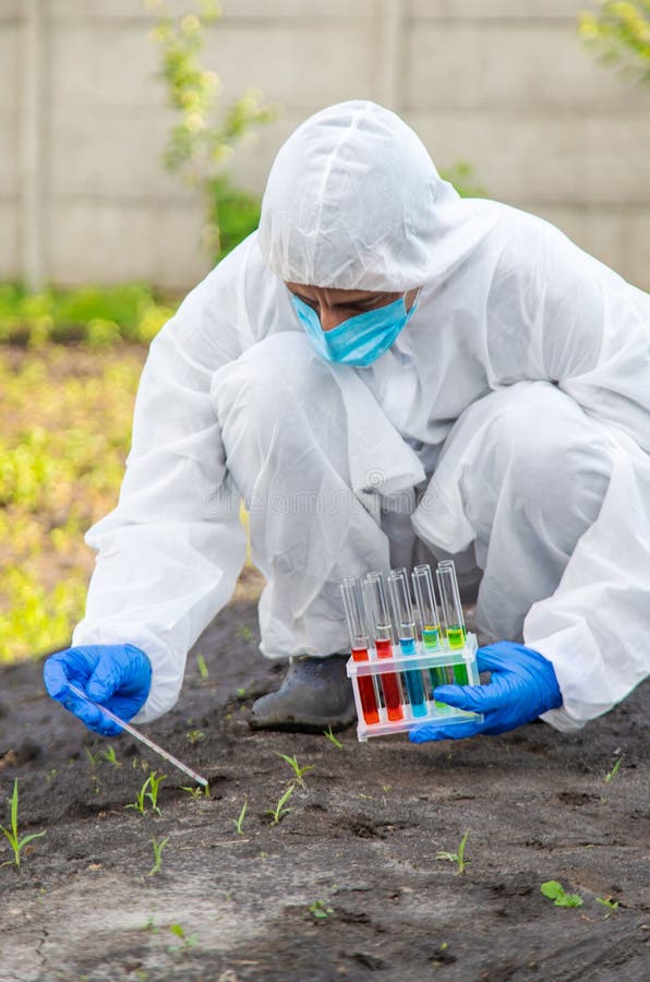 Taking Soil Samples from the Field. Selective Focus Stock Image - Image ...