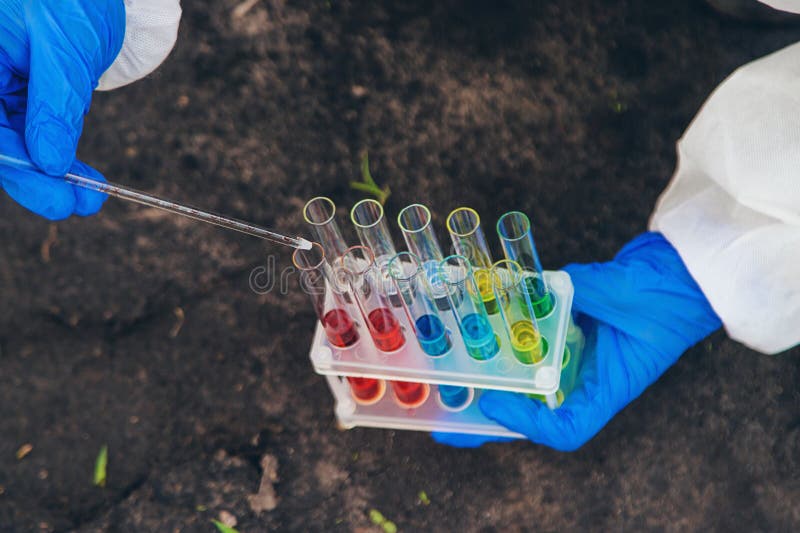 Taking Soil Samples from the Field. Selective Focus Stock Photo - Image ...