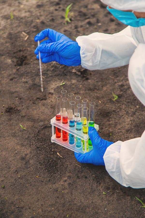 Taking Soil Samples from the Field. Selective Focus Stock Photo - Image ...