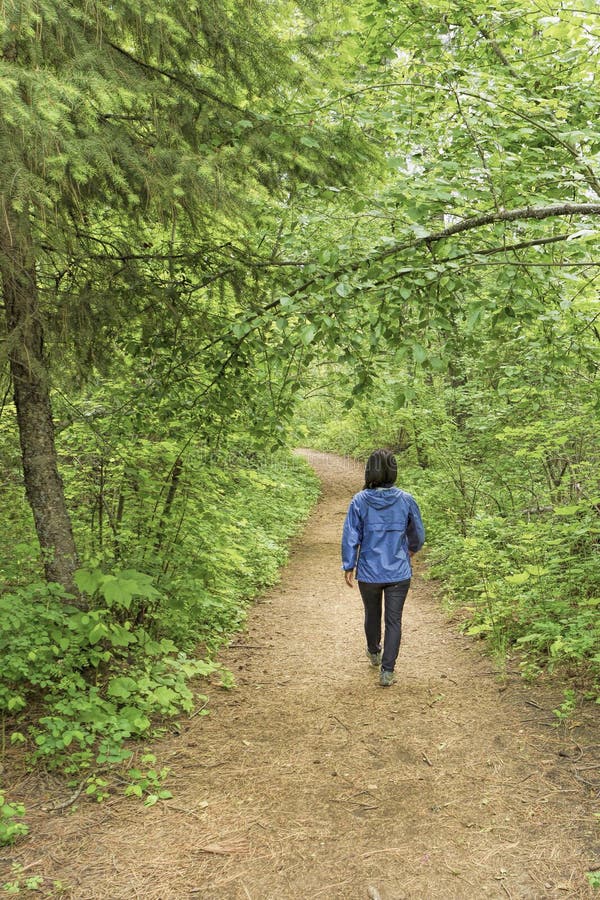 Taking a Stroll in the Woods. Stock Image - Image of leisure, girl ...