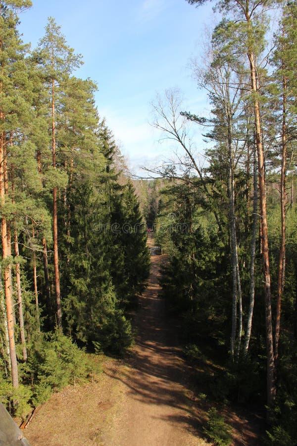 Taking a Walk in the Nature Park. Capturing the Walking Trail between ...