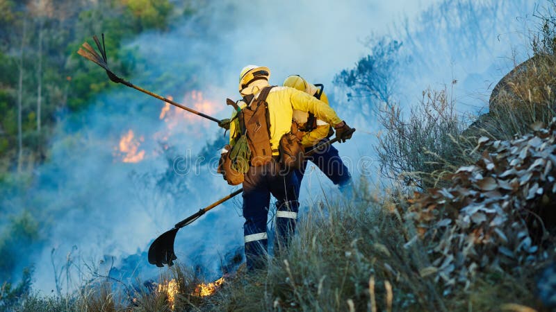 Taking on the Wire Hand To Hand. Fire Fighters Combating a Wild Fire ...