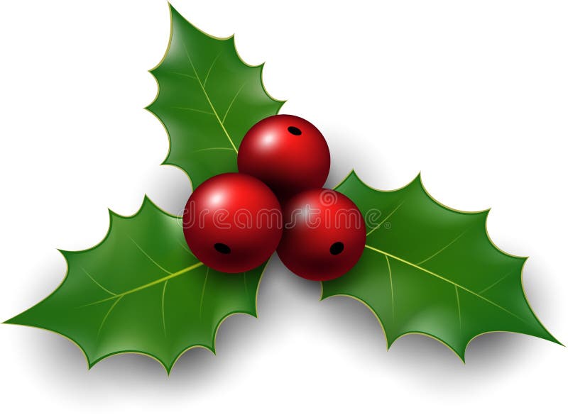 Takje Van Hulst Met Bes En Bladeren Vector Illustratie - Illustratie ...