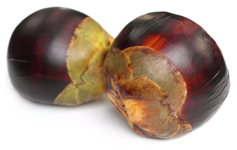 Tal Fruit of Indian Subcontinent Stock Photo - Image of agricultural ...