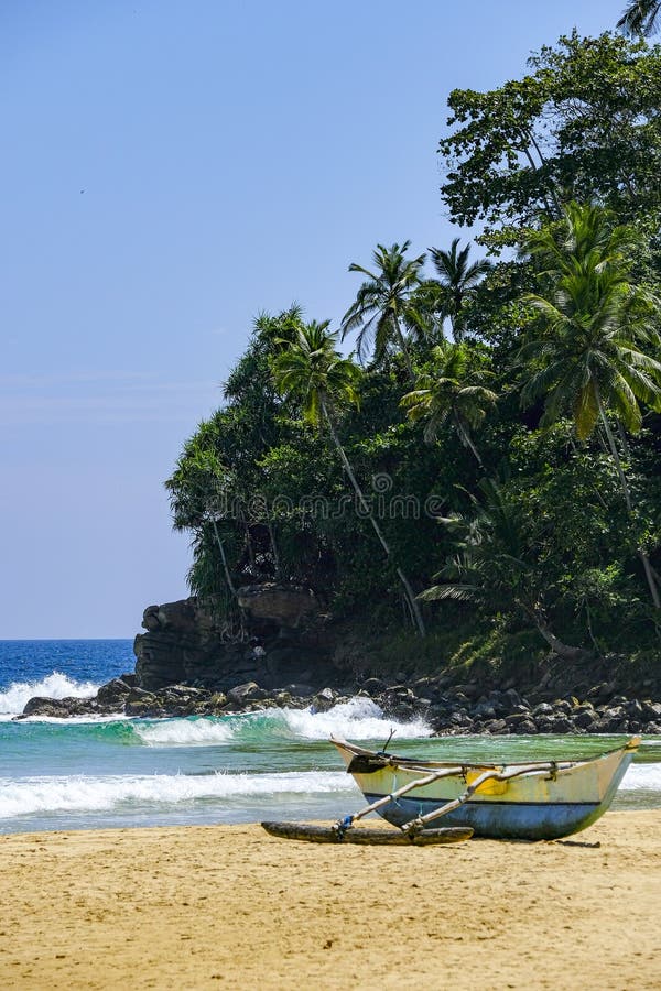 Talalla Beach in Sri Lanka stock photo. Image of palm - 169667756