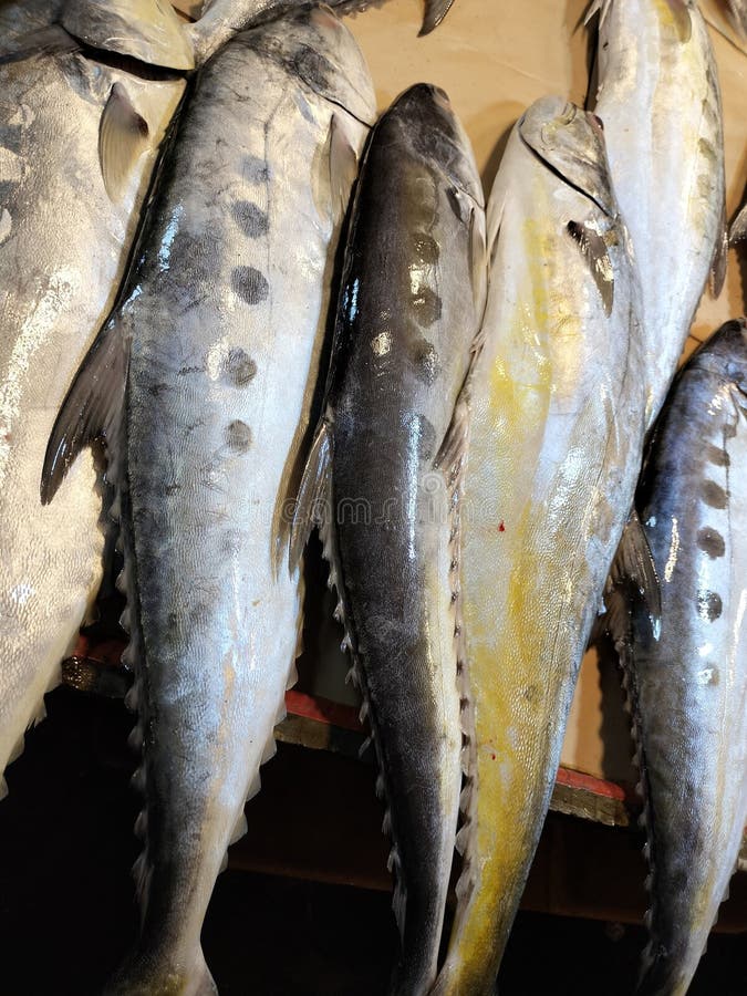 Talang talang fish stock image. Image of meal, produce - 391680811