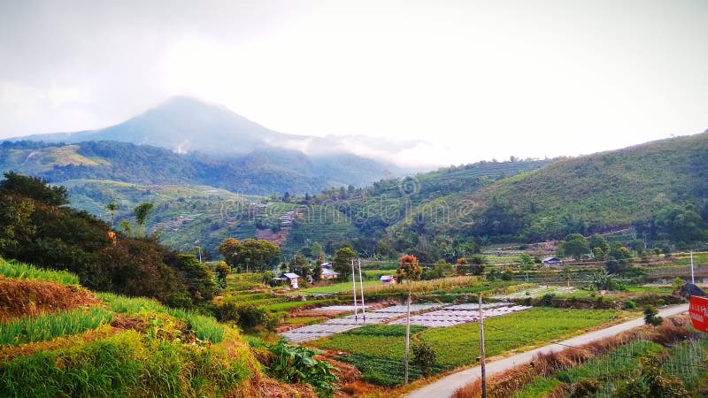 Talang Mountain stock image. Image of valley, sumatera - 255961271