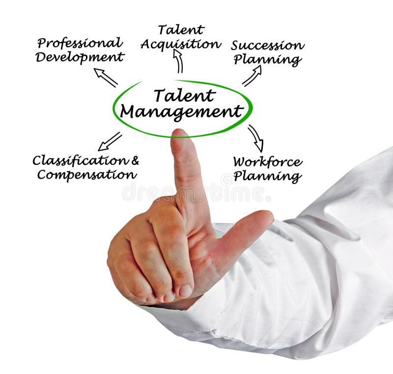 Diagram of Talent Management Stock Photo - Image of screen, management ...