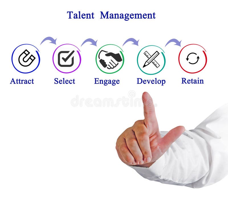 Talent Management Process stock image. Image of skills - 143477807