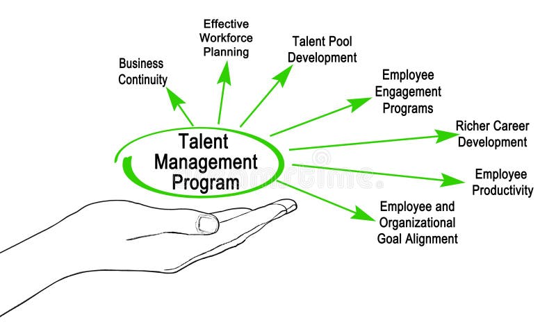 Talent Management Program stock illustration. Illustration of personnel ...