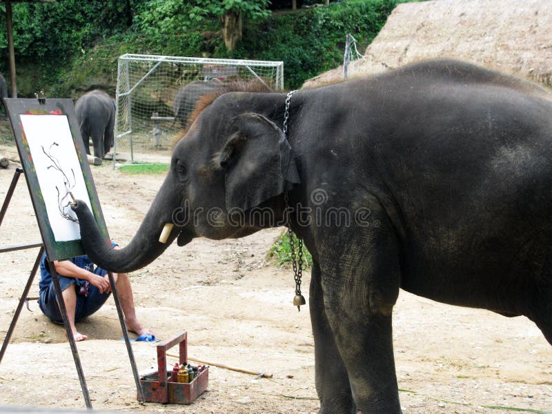 Talented artist editorial stock photo. Image of curl - 46457373