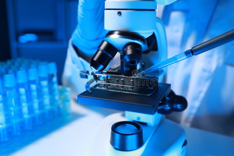 A Talented Scientist Sits in His Lab while Using a Microscope To Look ...
