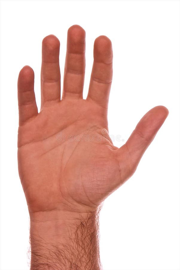 1,864 Hand Upright Stock Photos - Free & Royalty-Free Stock Photos from ...