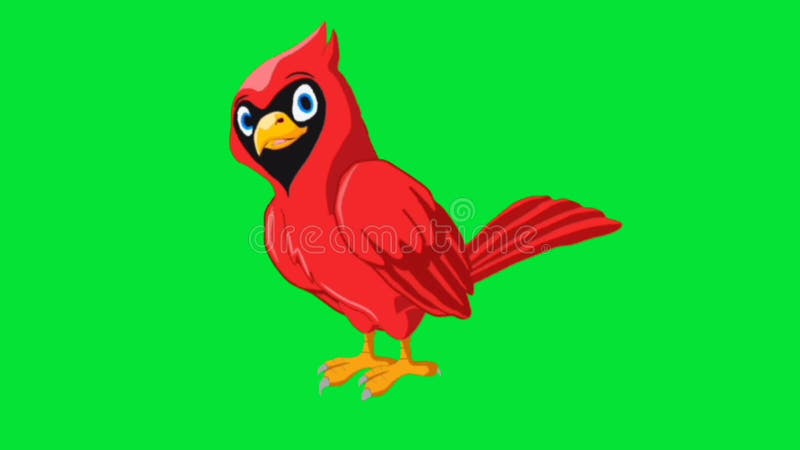 Talking Bird 2D Animation Green Screen Background Stock Video. Stock ...