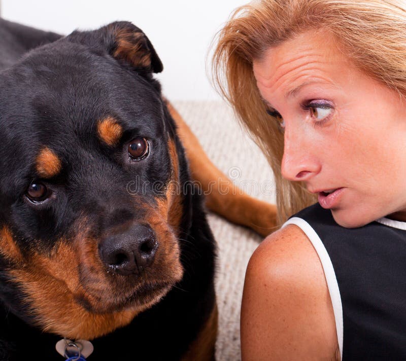 Talking to the Dog stock photo. Image of pals, comfort - 26471934