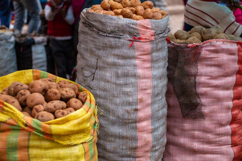 Tall Bags of Potatoes stock photo. Image of satchel - 270927524