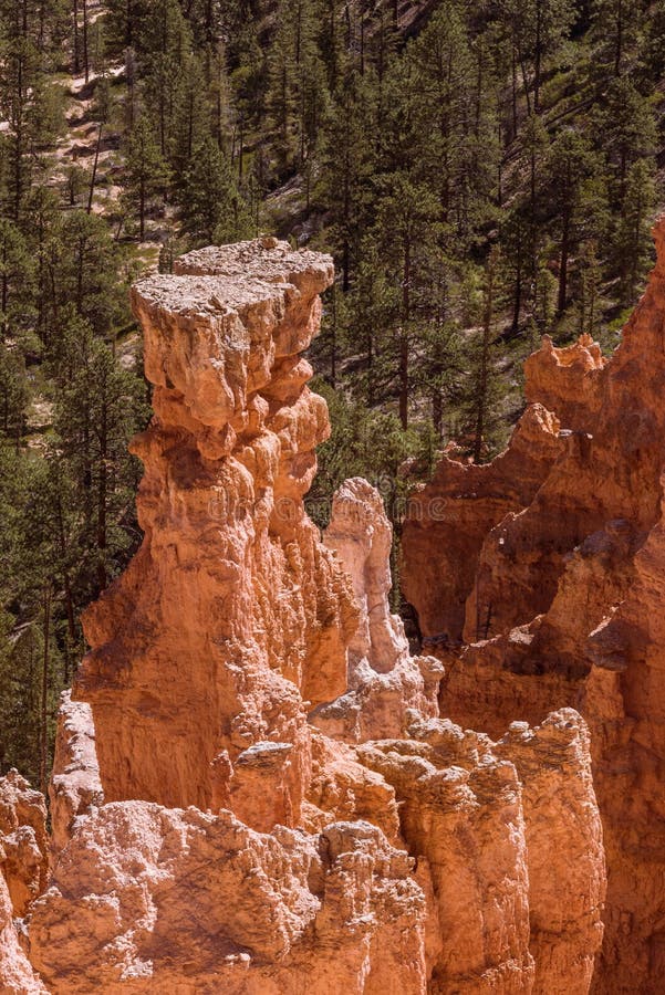 Tall Balancing Rock Formation Inside Bryce Canyon Stock Image - Image ...
