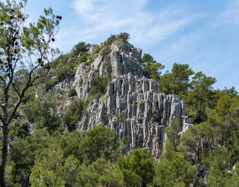 Tall Beautiful Climbing Rocks in a Dense Forest Stock Photo - Image of ...
