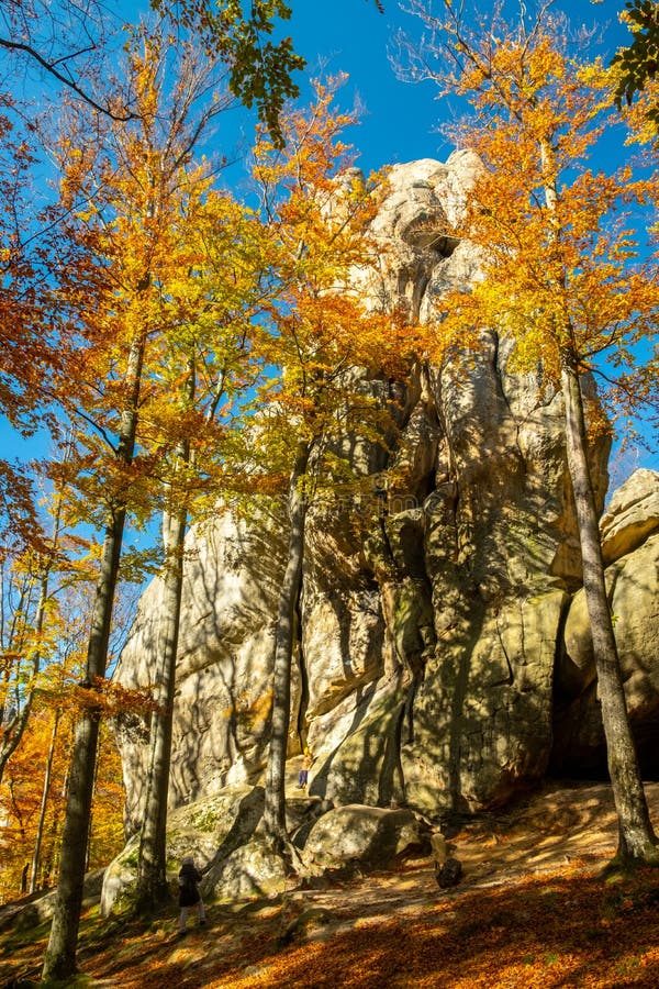 Tall Big Rock in Autumn Forest in Ukraine Stock Photo - Image of ...