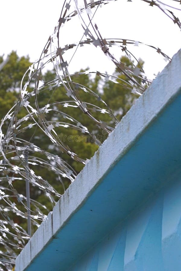 Tall Blue Fence Protected by Barbed Wire Stock Image - Image of back ...