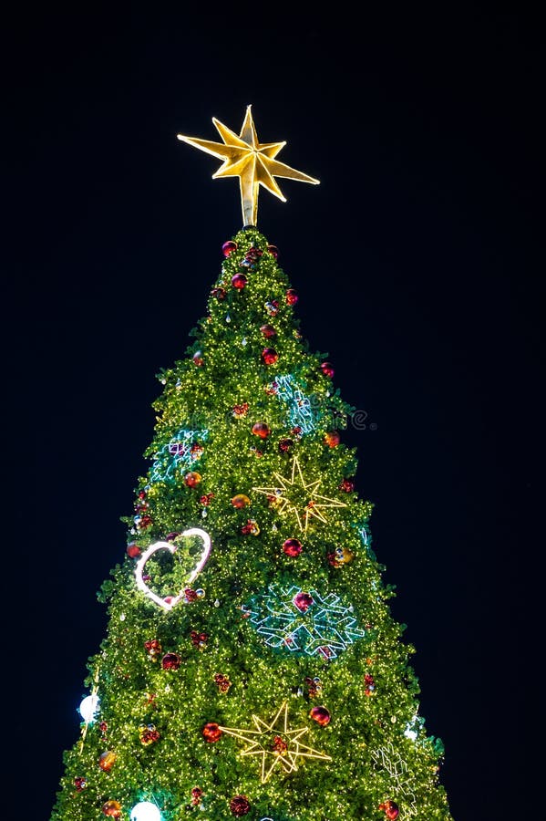 Tall Bright Christmas Tree with Star Stock Photo - Image of christmas ...