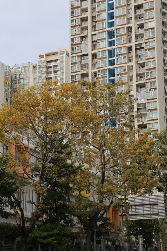 A Tall Building in the Background, with Trees and Greenery in Front of ...