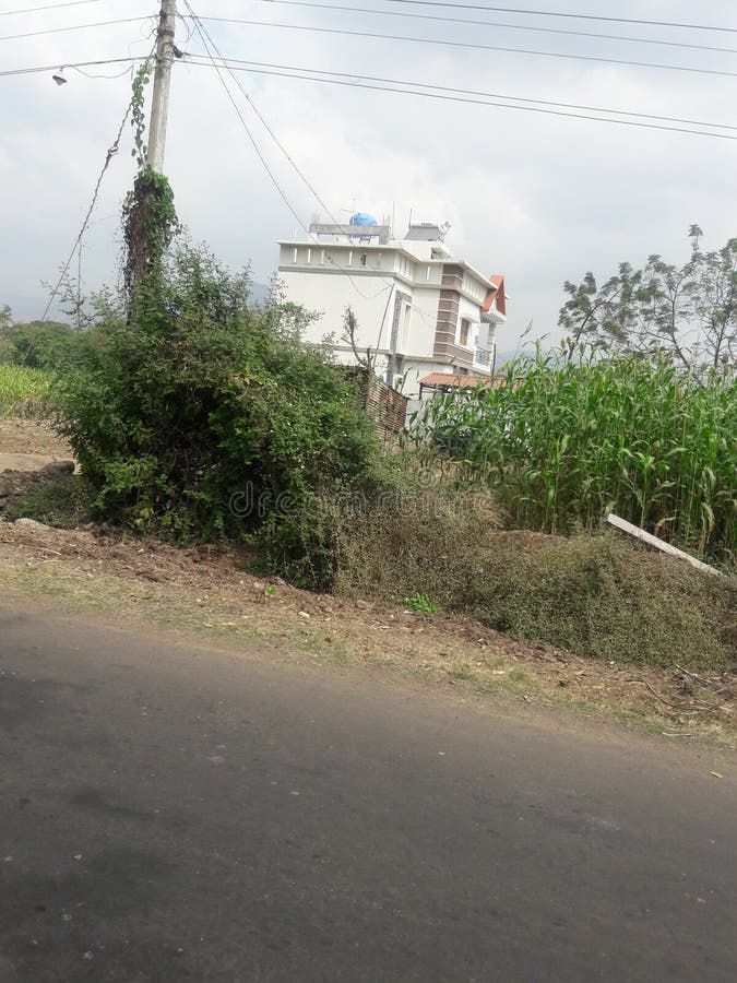 Tall Building Home in Indian Farm Stock Photo - Image of standards ...