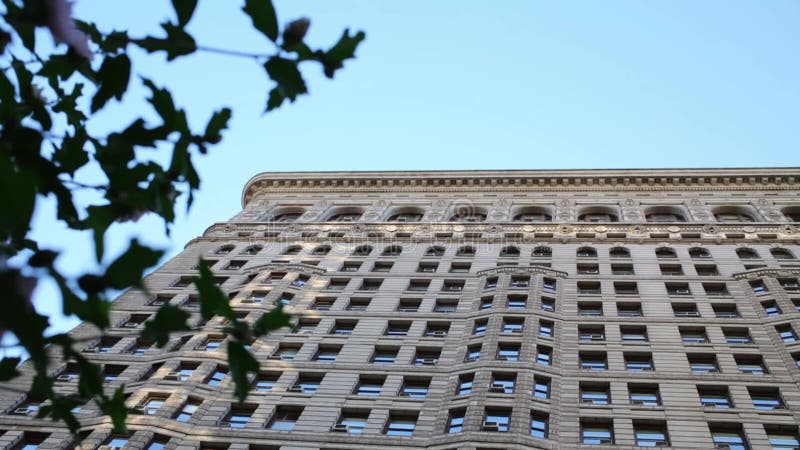 Tall Building Wall with Windows and Branch Out of Stock Video - Video ...