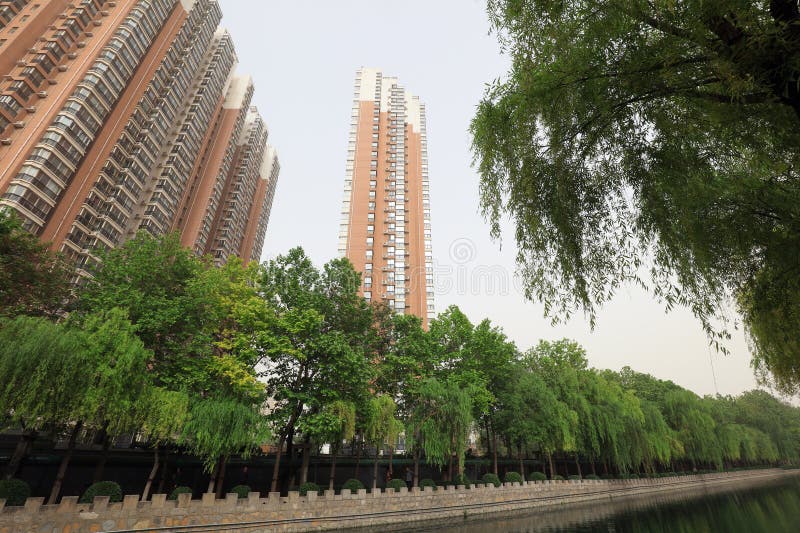 Tall Buildings are by the River Stock Photo - Image of plants, city ...