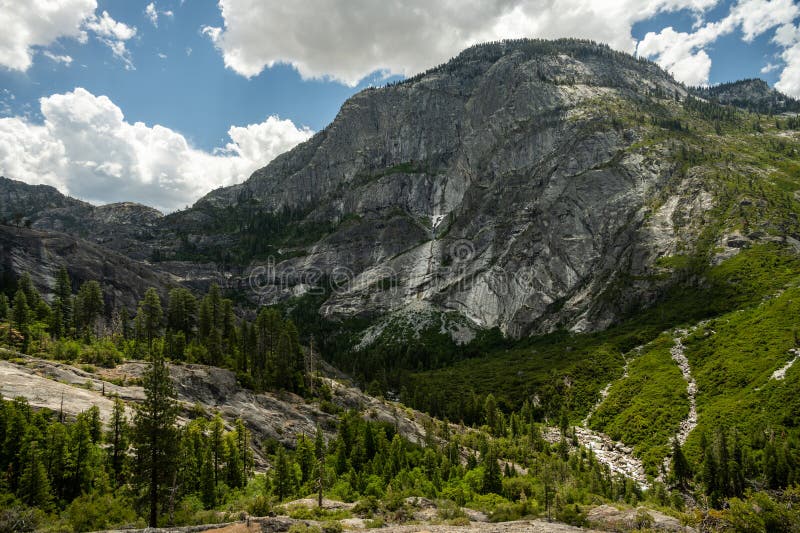 Tall Cliffs Rise Over Pine Forest in the Grand Canyon of the Tuolumne ...