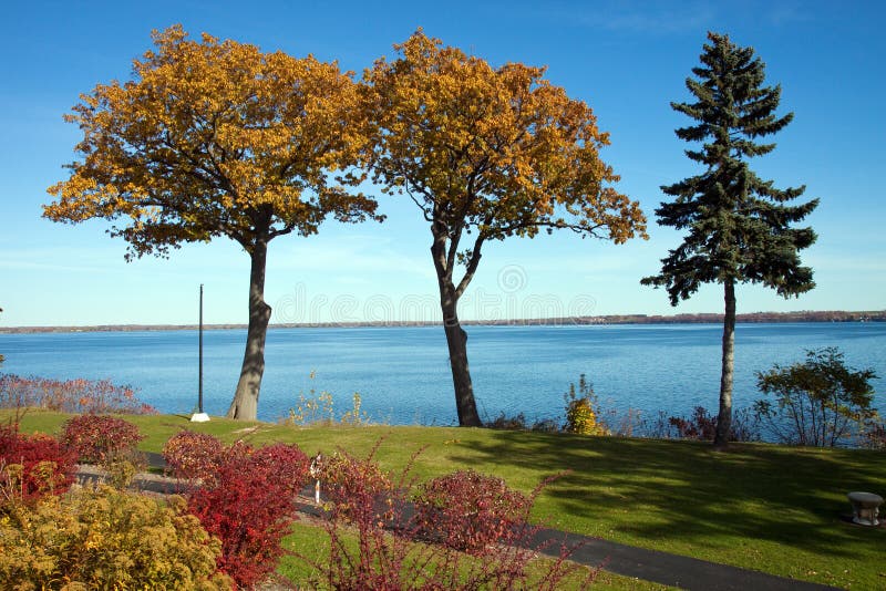 Tall Fall Trees stock image. Image of finger, trees, outdoors - 6943183