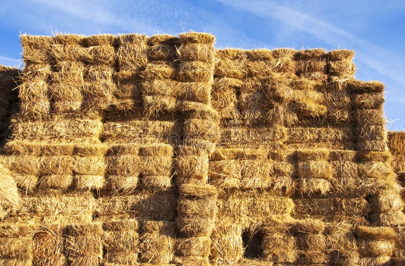 Tall Golden Haystack stock image. Image of gold, high - 17016113
