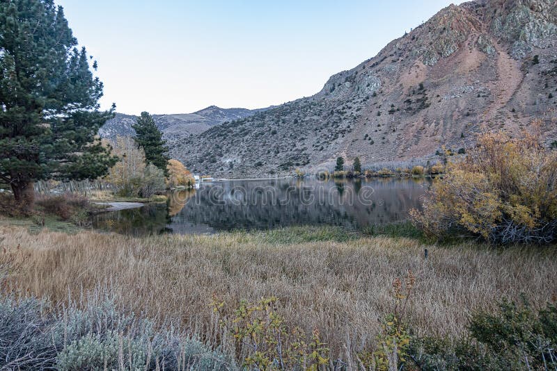 Tall Grass Along Shoreline Autumn Trees and Colorful Mountain Stock ...