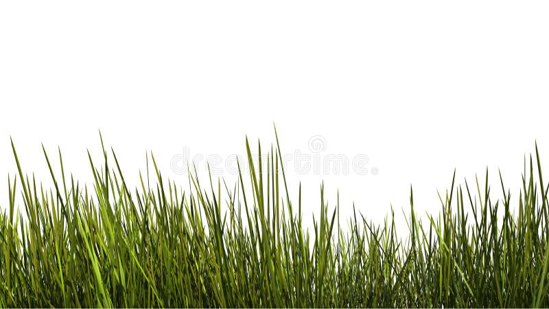 Tall Grass Pattern Stock Illustrations – 1,670 Tall Grass Pattern Stock ...
