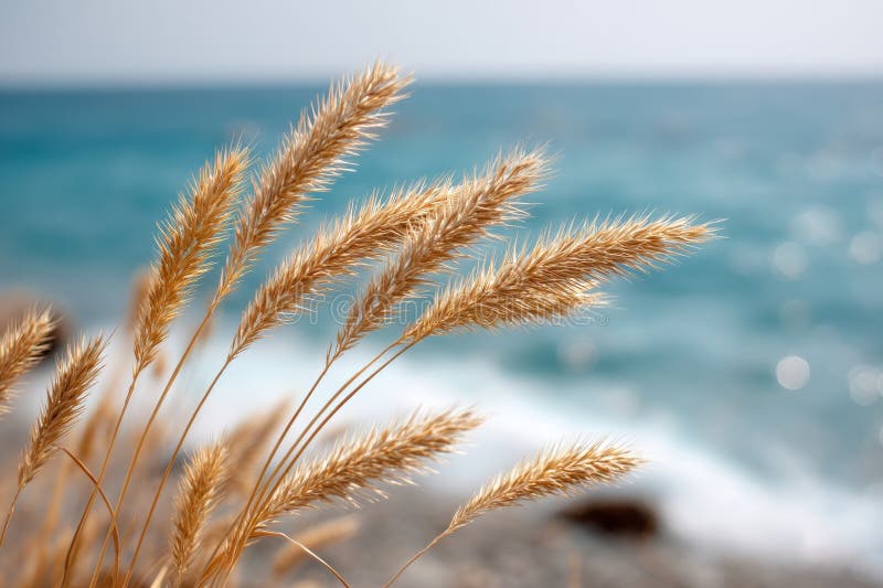 Tall Grass Grows Alongside Calm Water, Creating a Serene Natural Scene ...